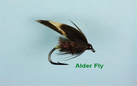 Alder Fly Fly - Fishing Flies with Fish4Flies Worldwide